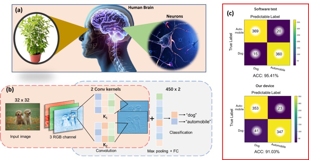 An artificial visual perception nervous system using a solution ...